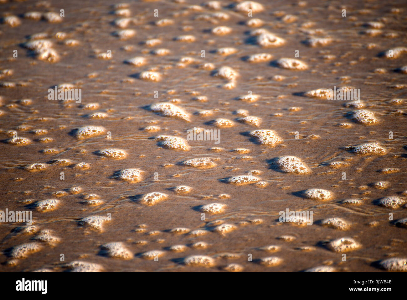 Foam bubbles of the surf on sand Stock Photo - Alamy