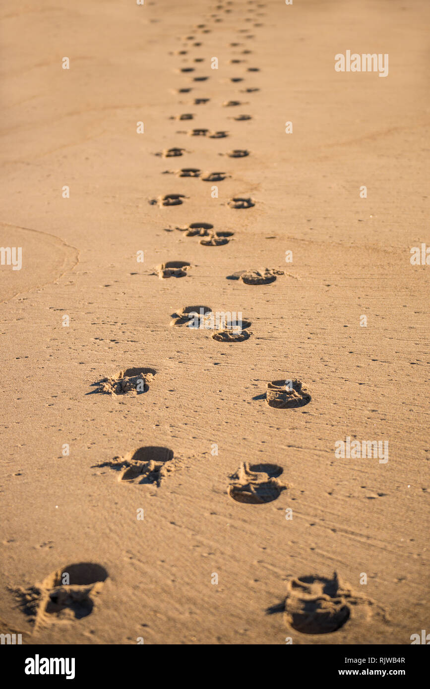 Track on the beach hi-res stock photography and images - Alamy