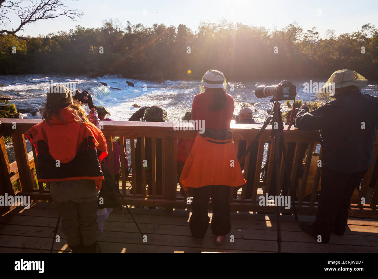 Brooks camp hi-res stock photography and images - Alamy