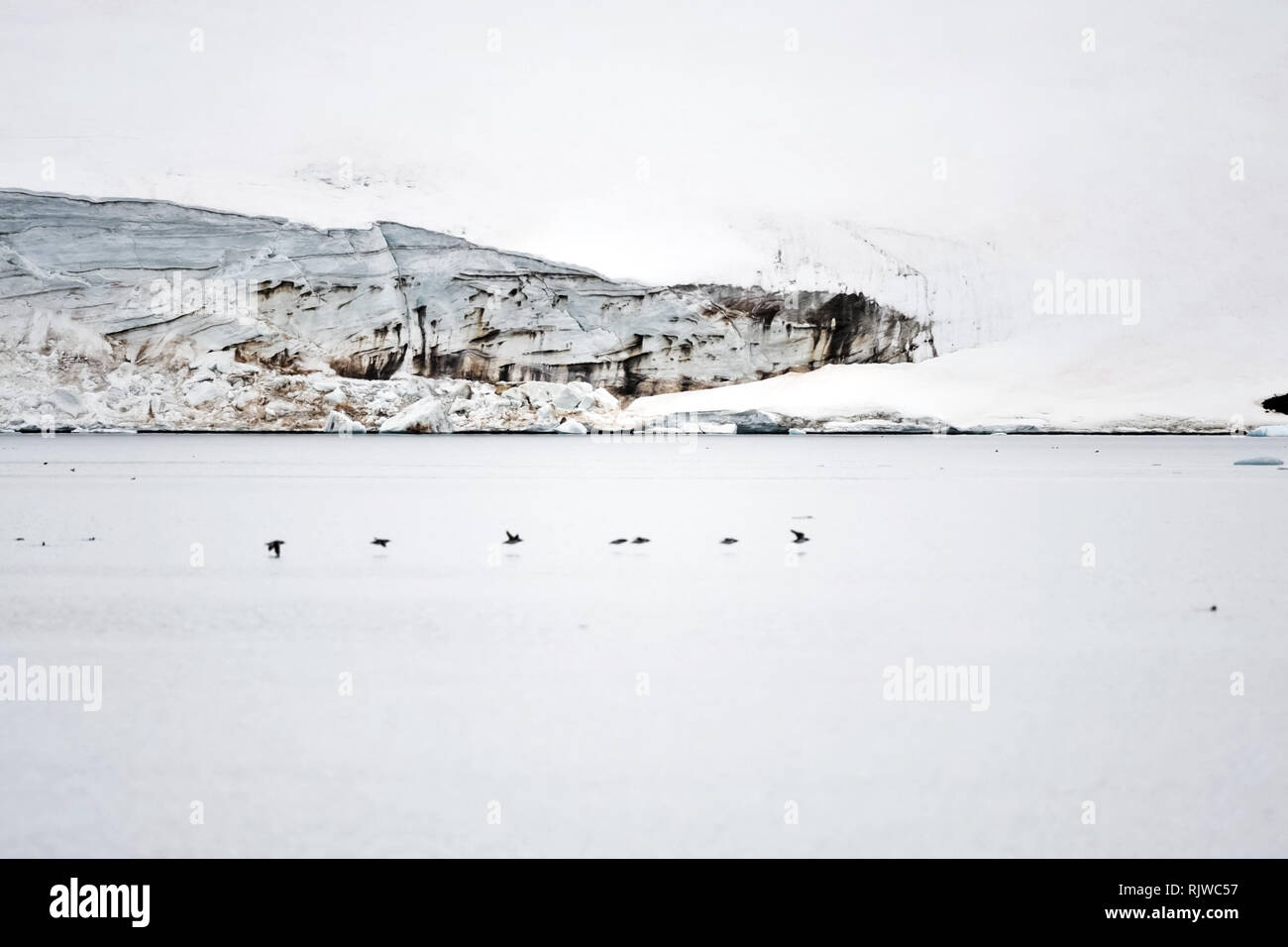 Arctic landscape, arctic tundra and ice of the Arctic Ocean Stock Photo ...
