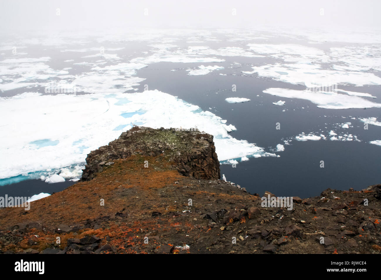 Arctic landscape, arctic tundra and ice of the Arctic Ocean Stock Photo ...