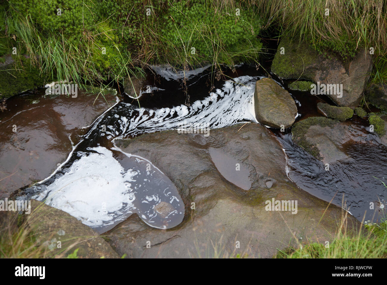 Water pool in rocks in English Countryside Stock Photo - Alamy