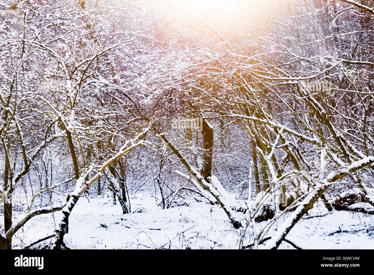 Celestial snow light Stock Photo - Alamy