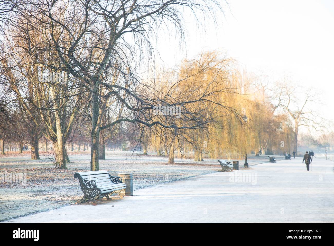 Cold winter morning Stock Photo - Alamy