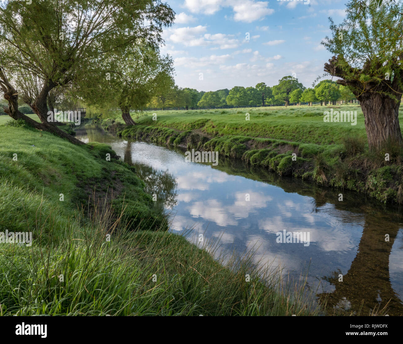 Willow trees on river bank hi-res stock photography and images - Alamy