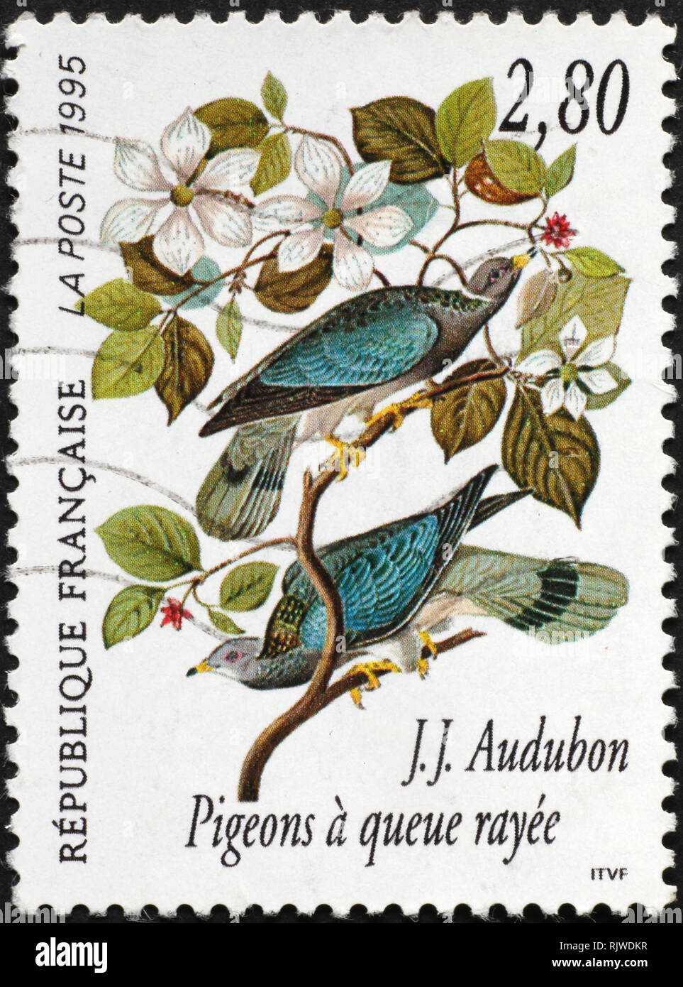 Painting by Audobon on french postage stamp Stock Photo - Alamy