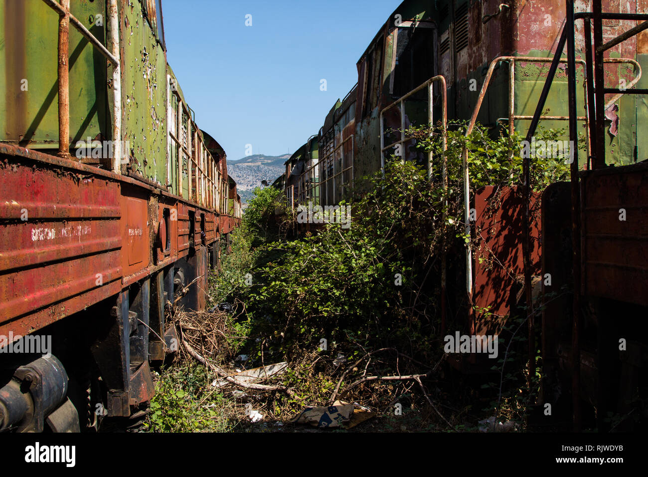 Abandoned railway train yard is a lost place in Albania Stock Photo - Alamy