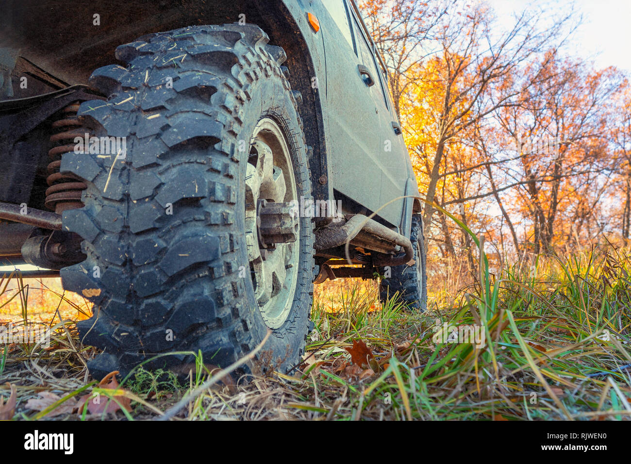 Wheels off-road car standing on the grass in the forest Stock Photo - Alamy