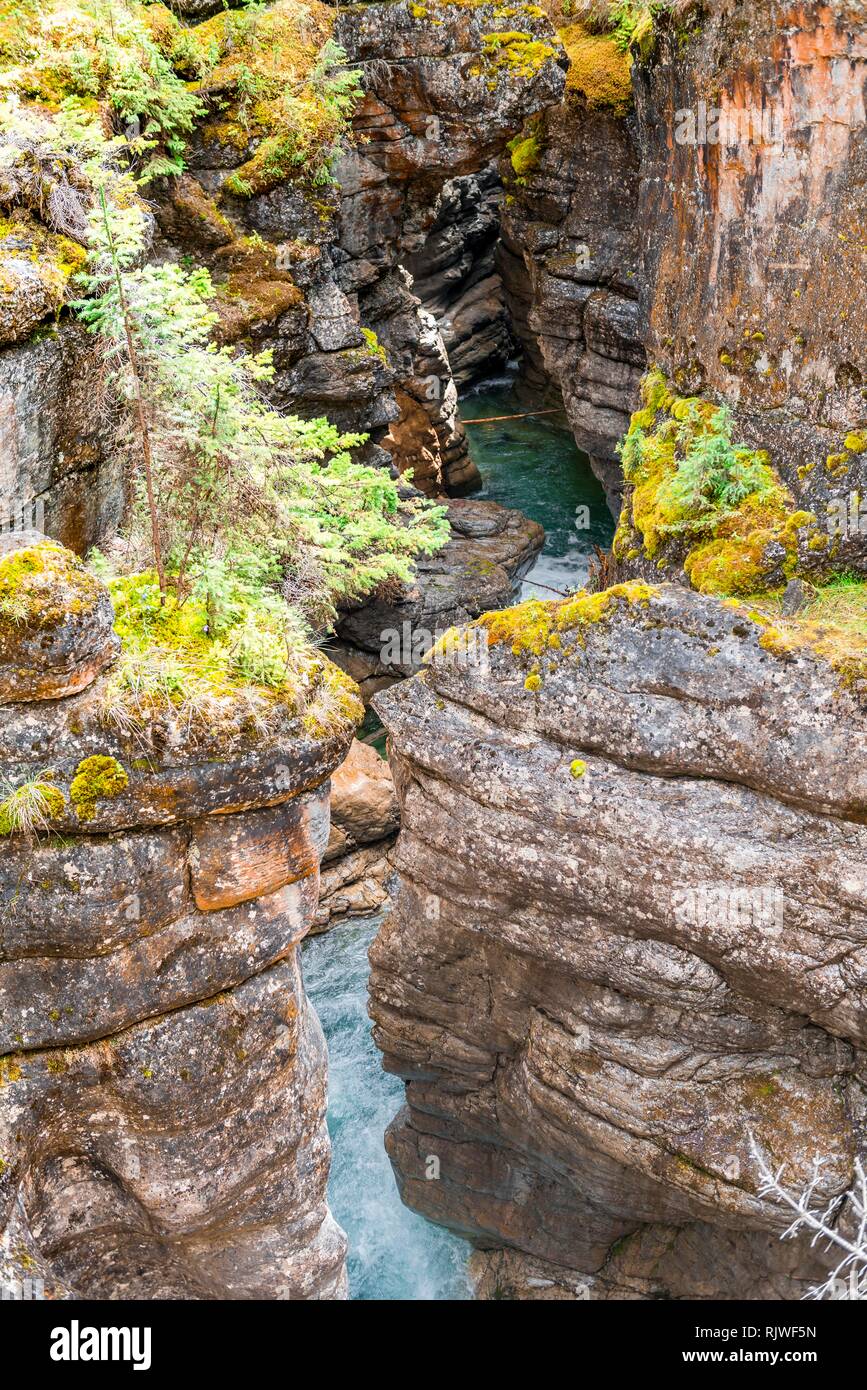 Stream in a gorge stream in a gorge hi-res stock photography and images ...