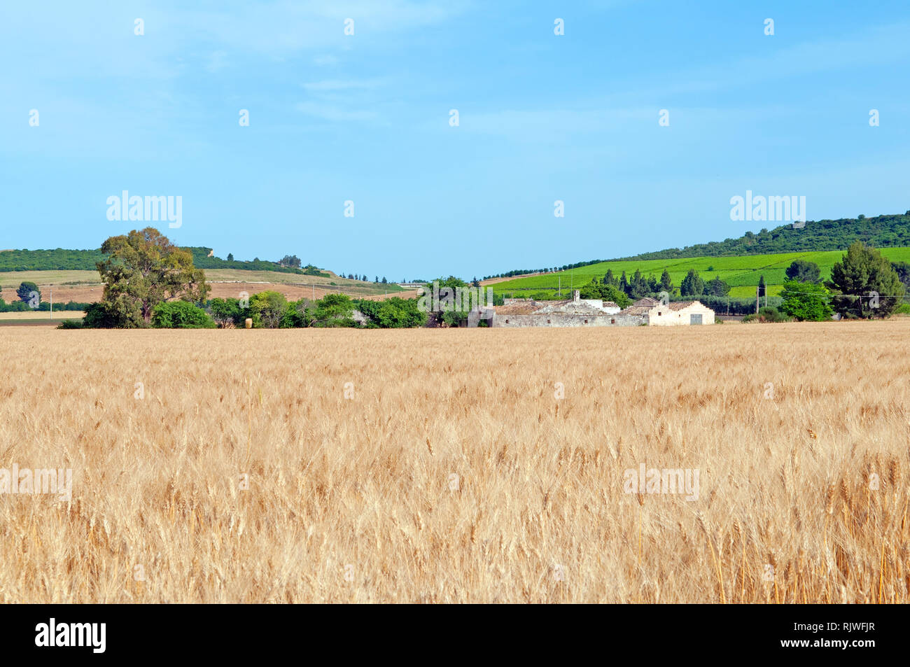 Masseria (fortified farm house) in the Basilicata countryside, Italy ...