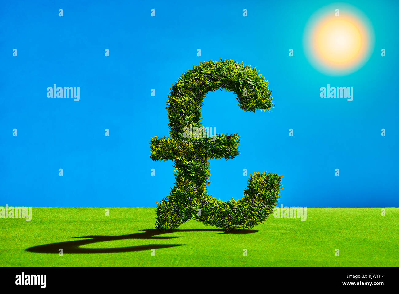 Pound sterling tree hi-res stock photography and images - Alamy