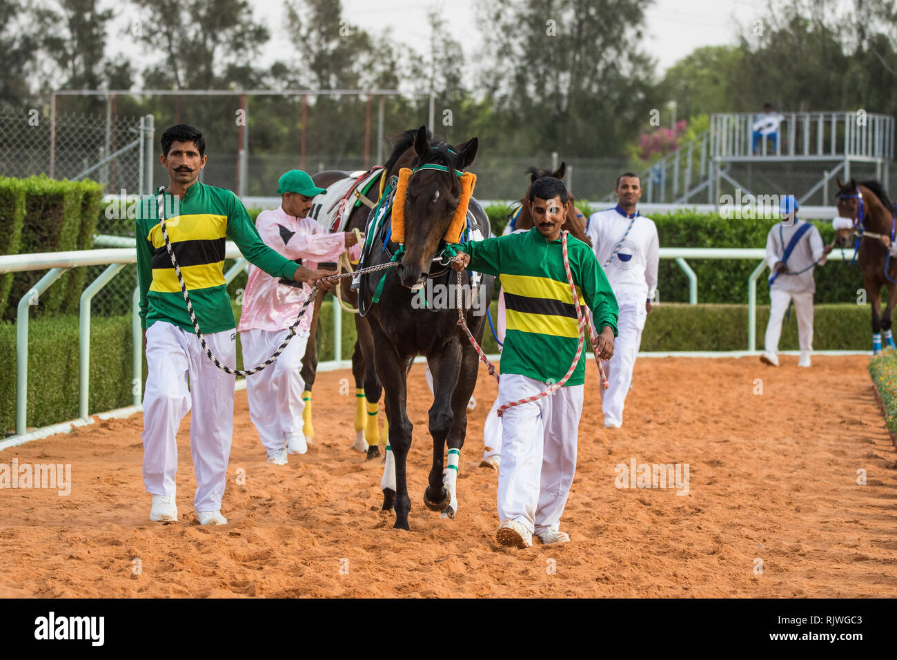 Horse racing at King Khalid Racetrack, Taif, Saudi Arabia. 22/06/2018 ...