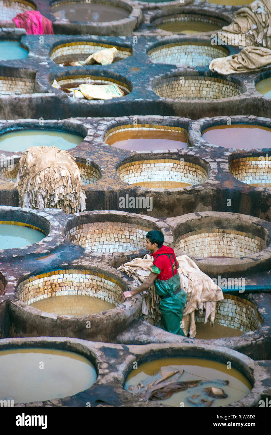 Mаn working as a tanner in Old tanks at leather tanneries with color ...