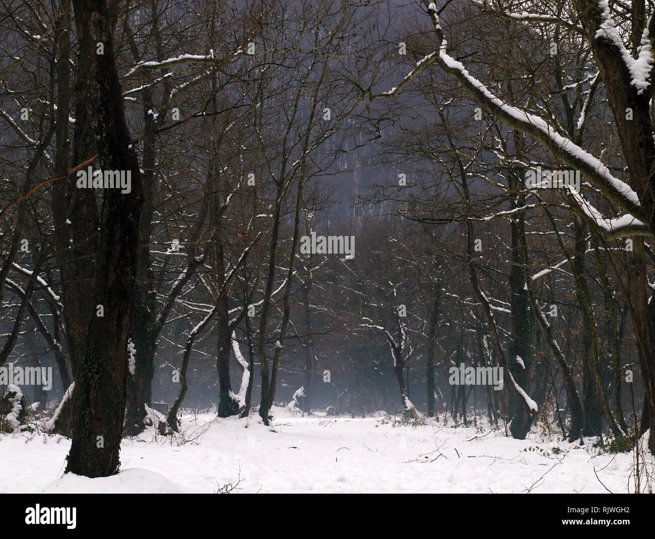 Snow covered Agios Nikolaos (Saint Nicholas) park with benches and path ...