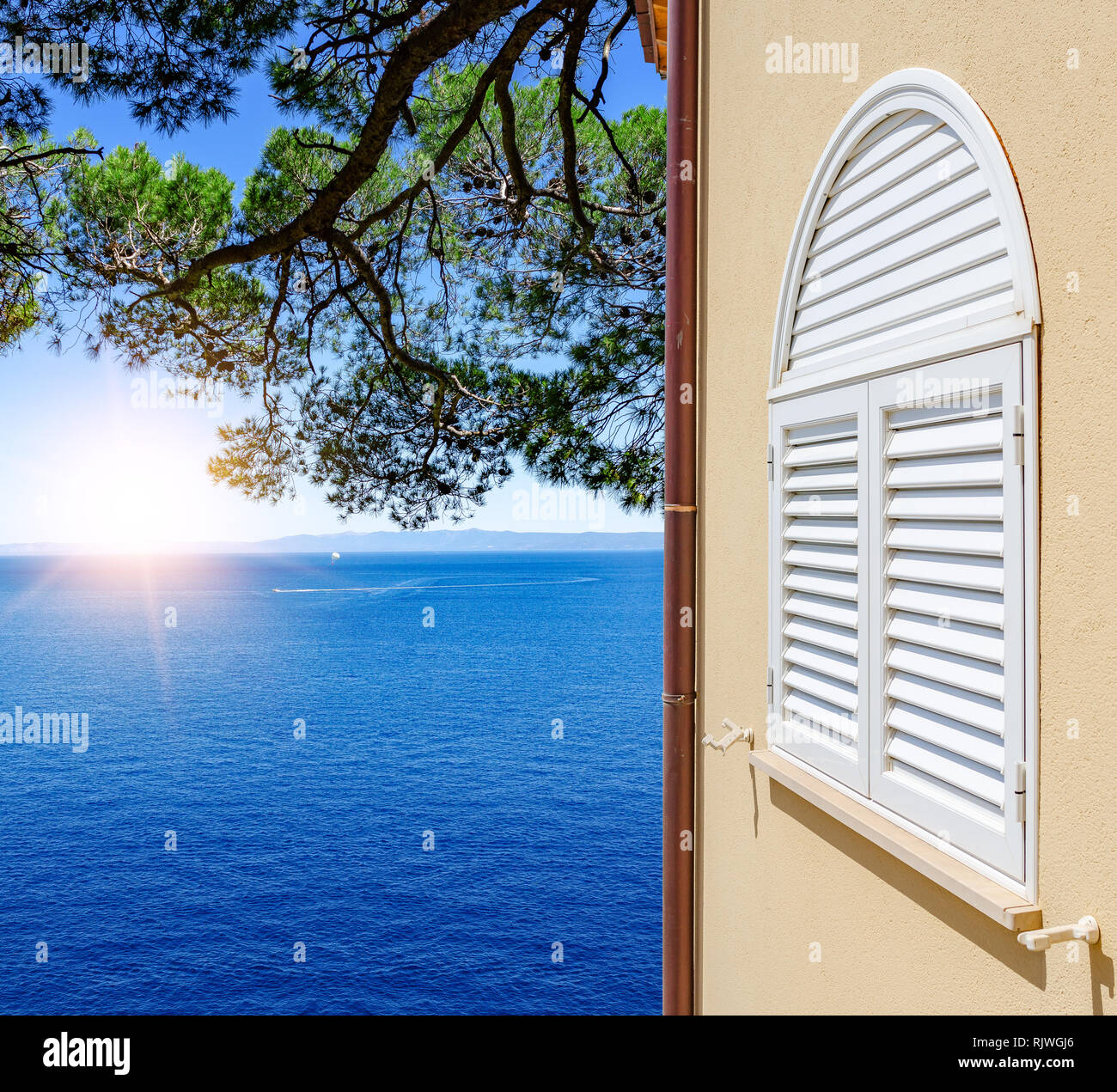 Blue sky view interior green hi-res stock photography and images - Alamy