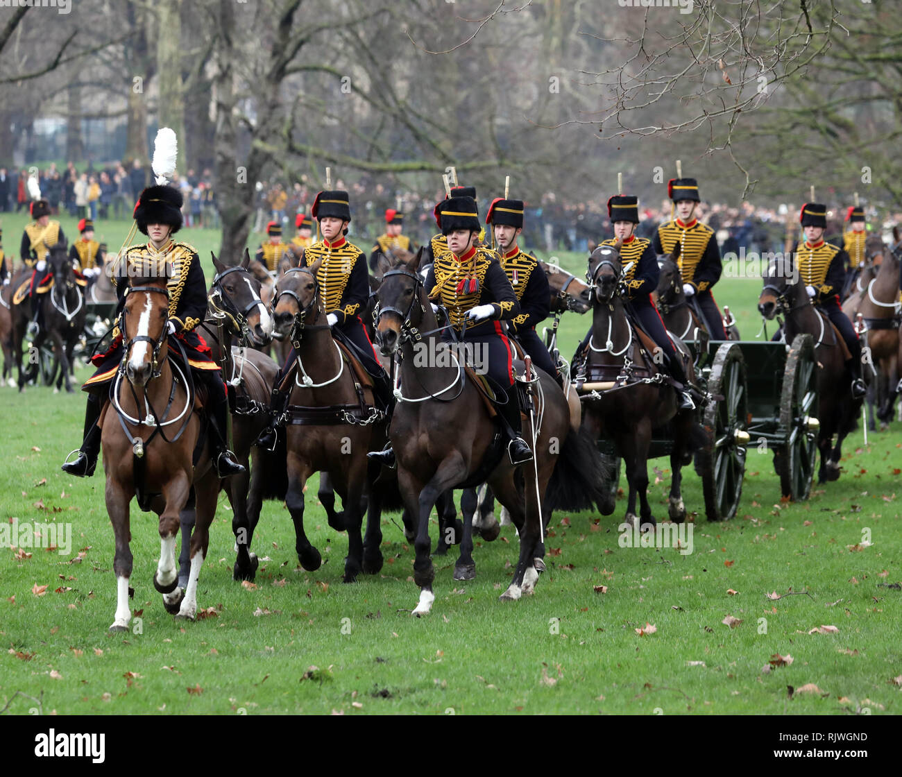 Pic shows: 41 gun salute green park. Many of KIng's Troop Horse ...