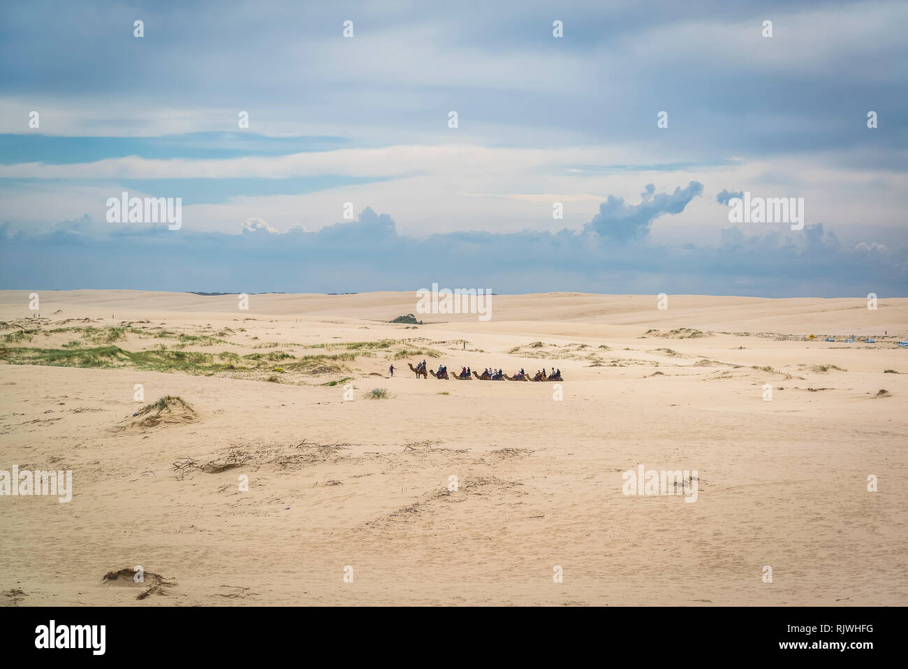 Birubi beach hi-res stock photography and images - Alamy