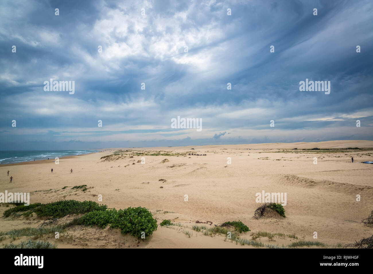 Birubi Beach, Port Stephens, NSW, Australia Stock Photo - Alamy