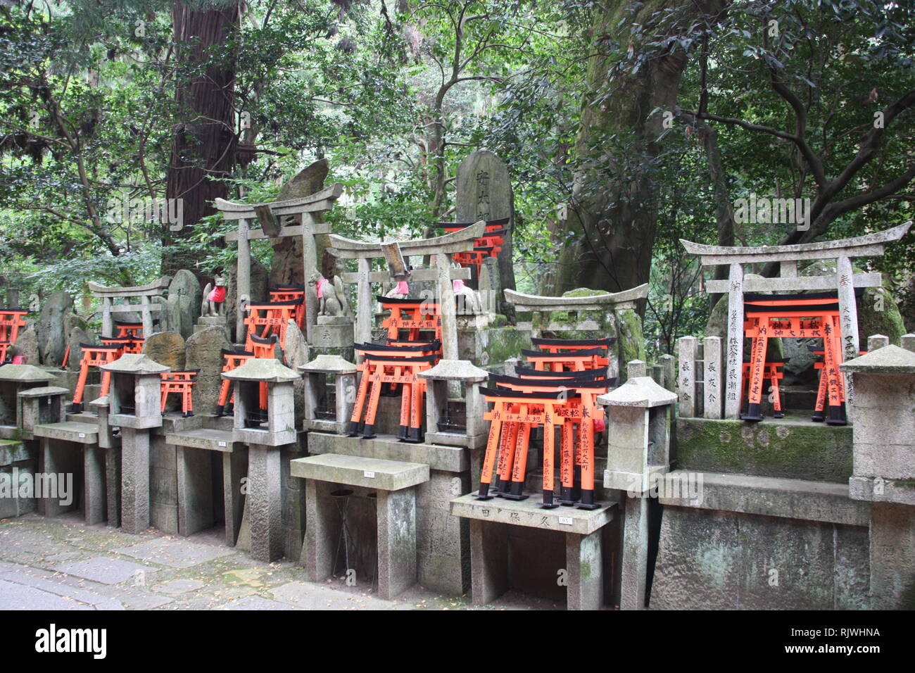 Fushimi Inari Taisha temple in Kyoto, Japan Stock Photo - Alamy