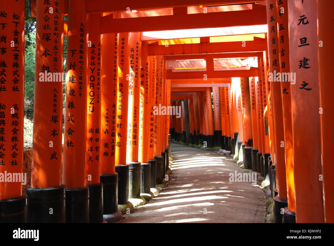 Fushimi Inari Taisha temple in Kyoto, Japan Stock Photo - Alamy