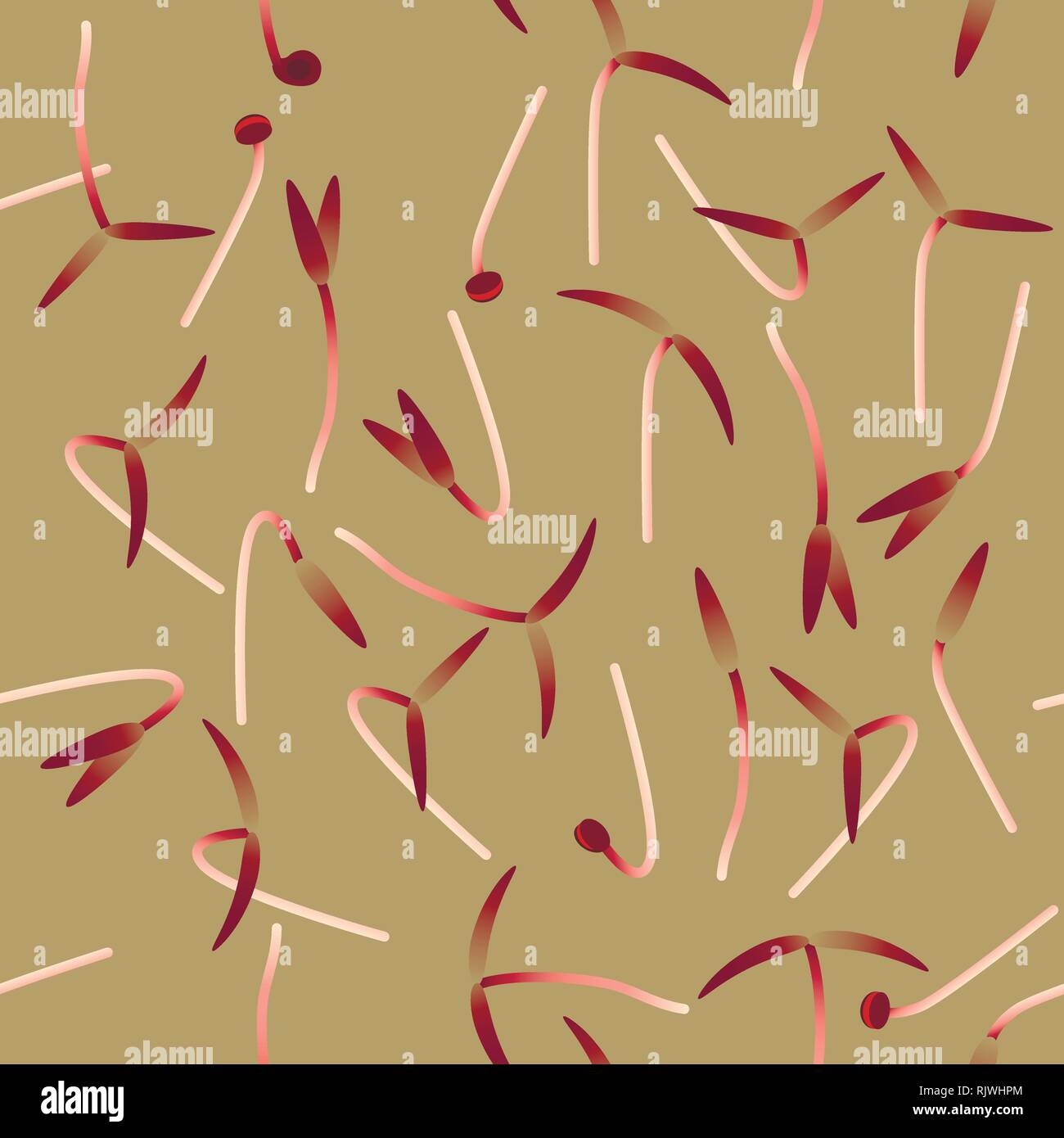 Red amaranth seeds Stock Vector Images - Alamy