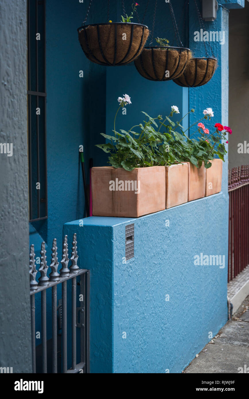 House, Waterloo, Sydney, NSW, Australia Stock Photo - Alamy