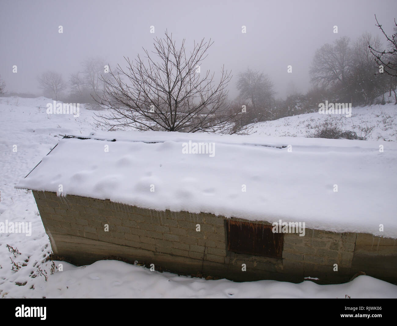 Snow covered rooftop in fog Stock Photo - Alamy