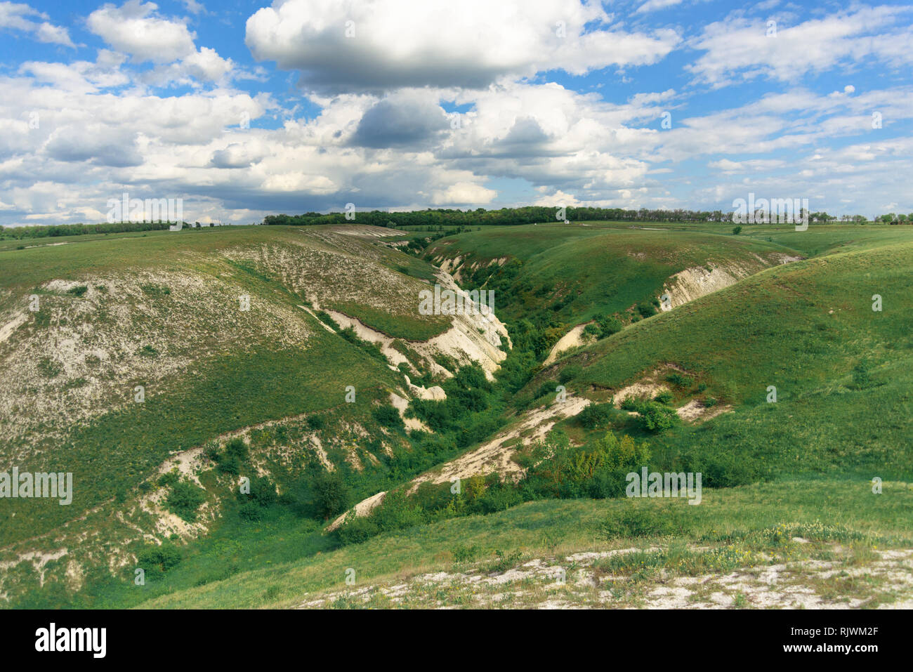 Summer landscape with hills and ravines overgrown with grass and blue ...