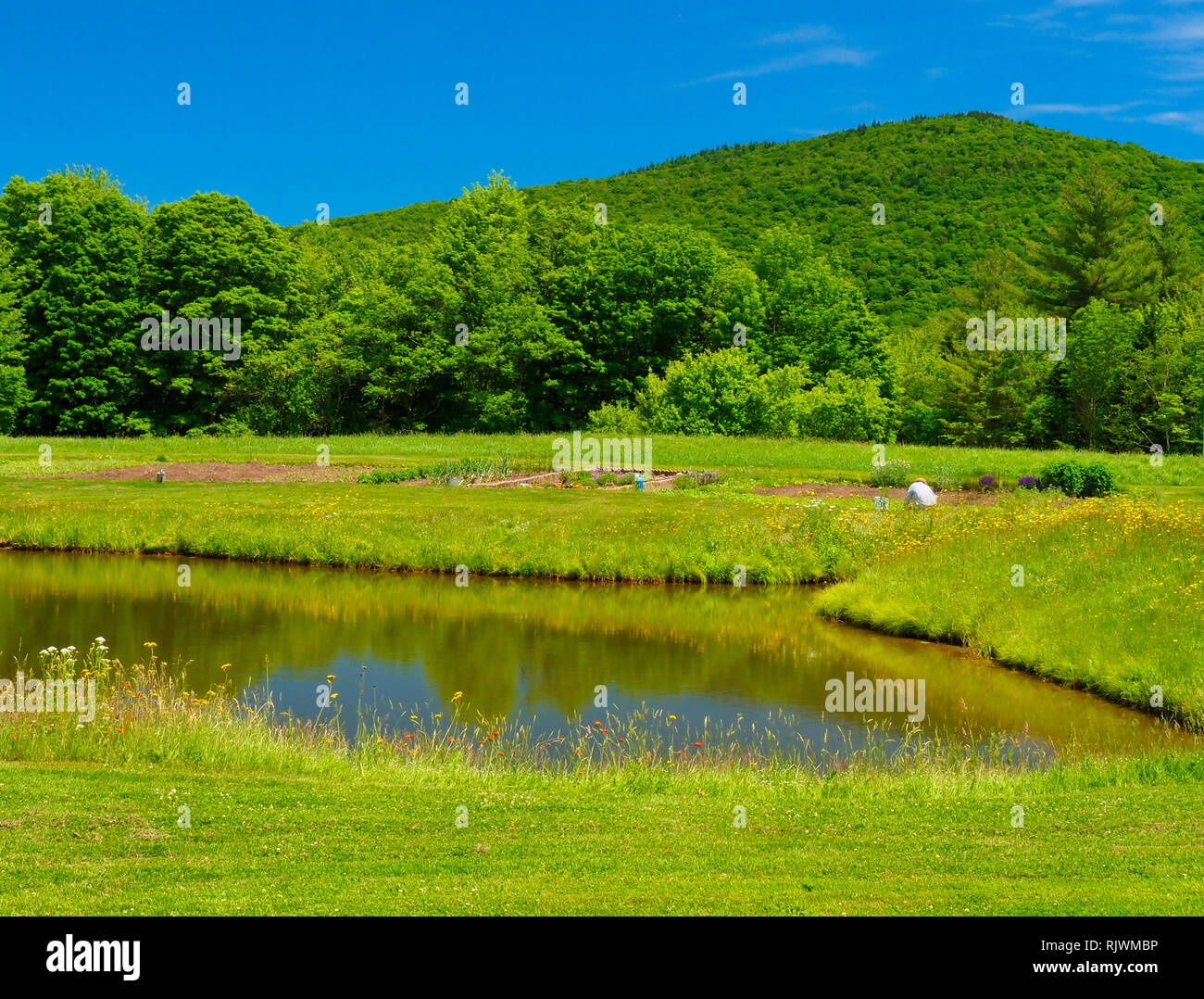 Weston vermont usa hi-res stock photography and images - Alamy