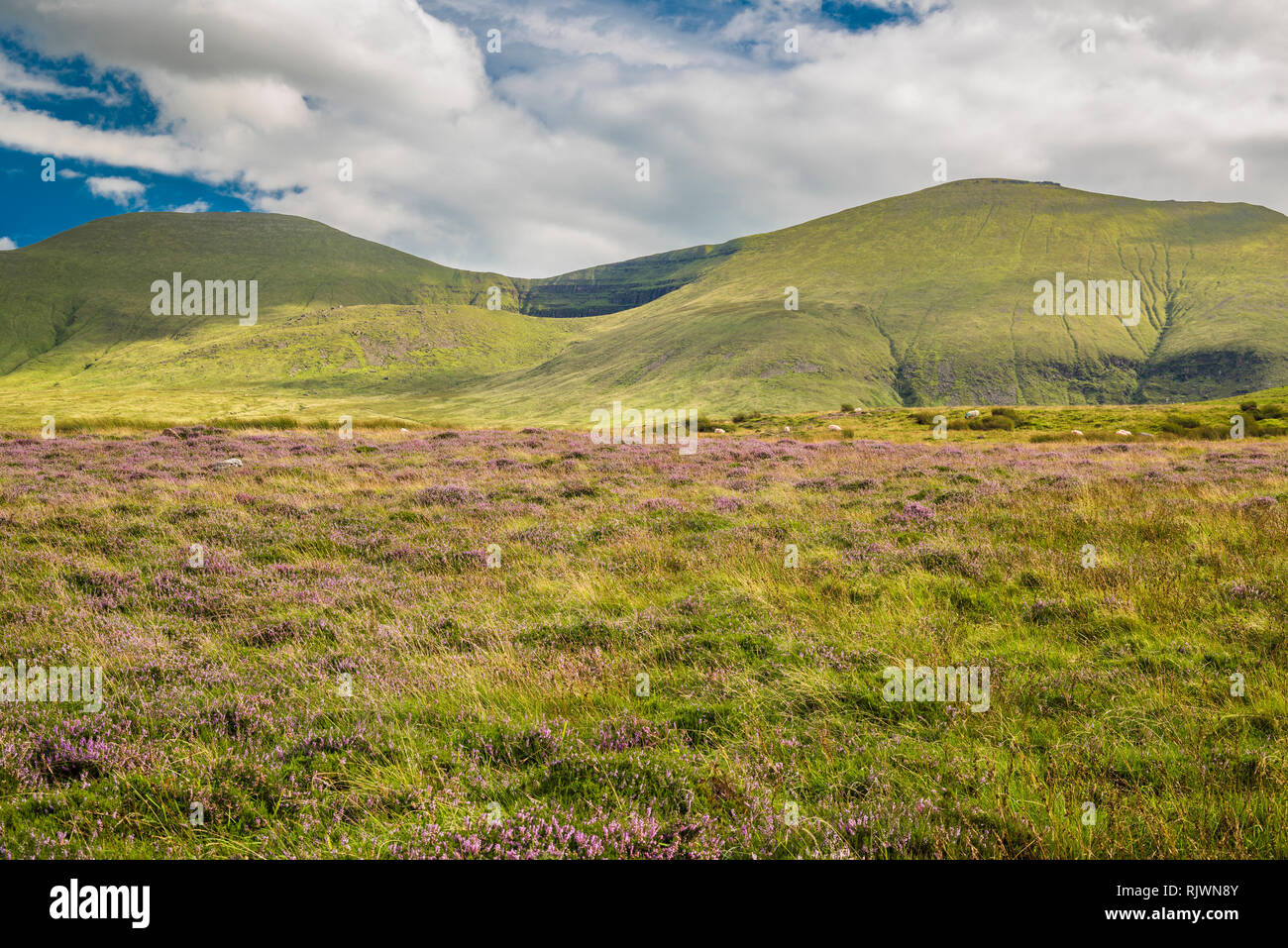 Galtymore hi-res stock photography and images - Alamy