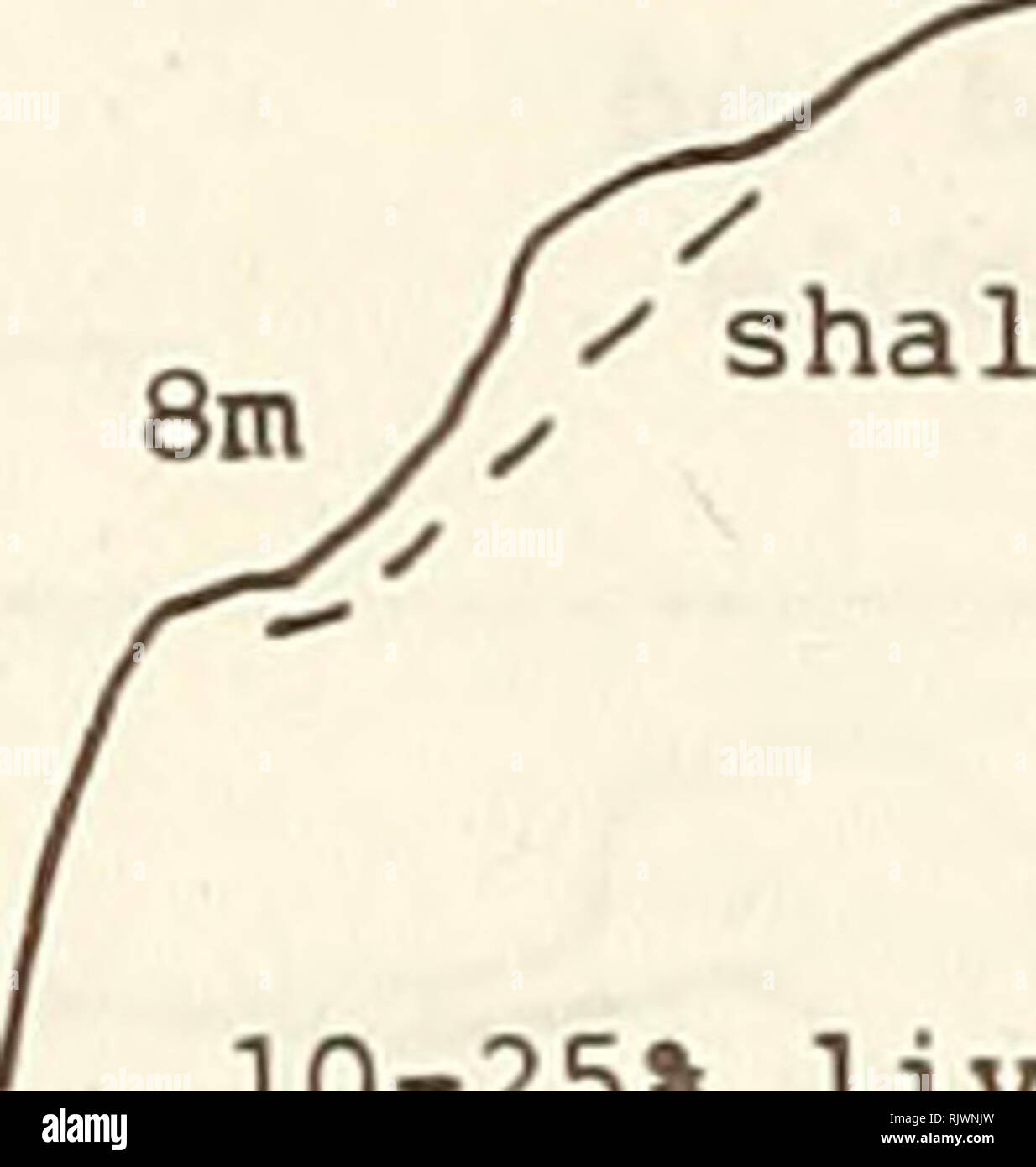 Trough coral hi-res stock photography and images - Alamy