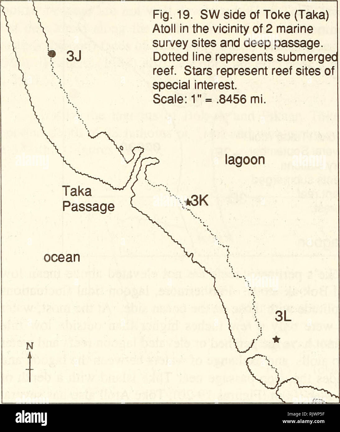 Sandalolitha hi-res stock photography and images - Alamy