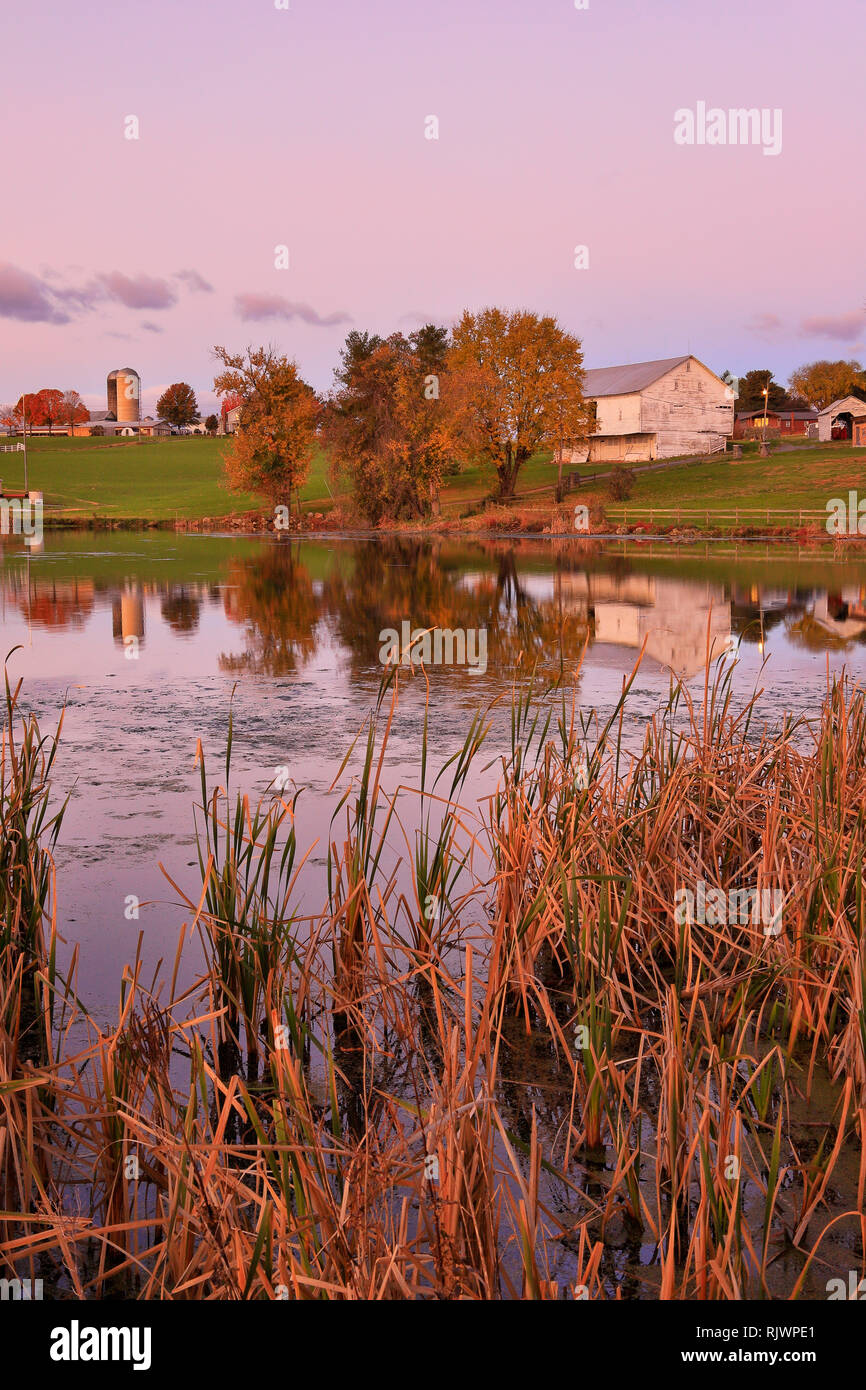 Virginia lake usa hi-res stock photography and images - Alamy