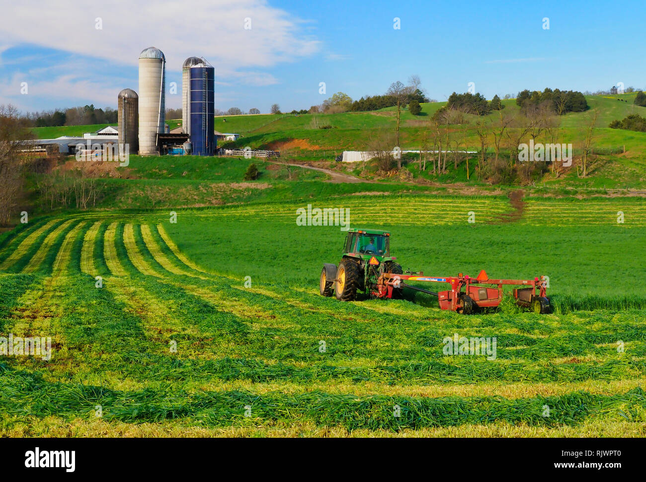 Cutting Hay, Mount Solon, Shenandoah Valley, Virginia, USA Stock Photo ...