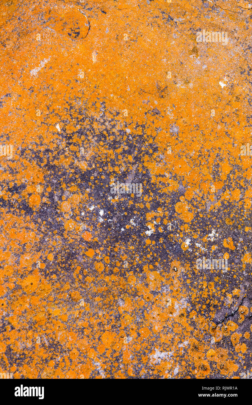 Stone background orange texture, abstract formation of mineral rock in ...