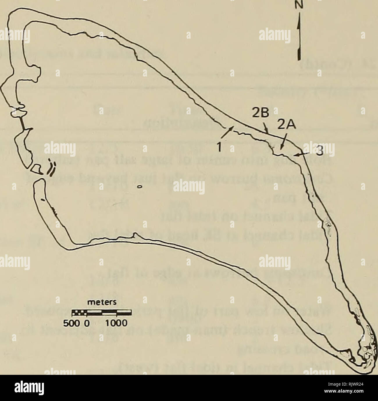 . Atoll research bulletin. Coral reefs and islands; Marine biology ...