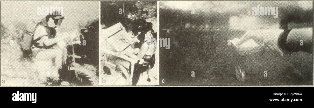 . Atoll research bulletin. Coral reefs and islands; Marine biology ...