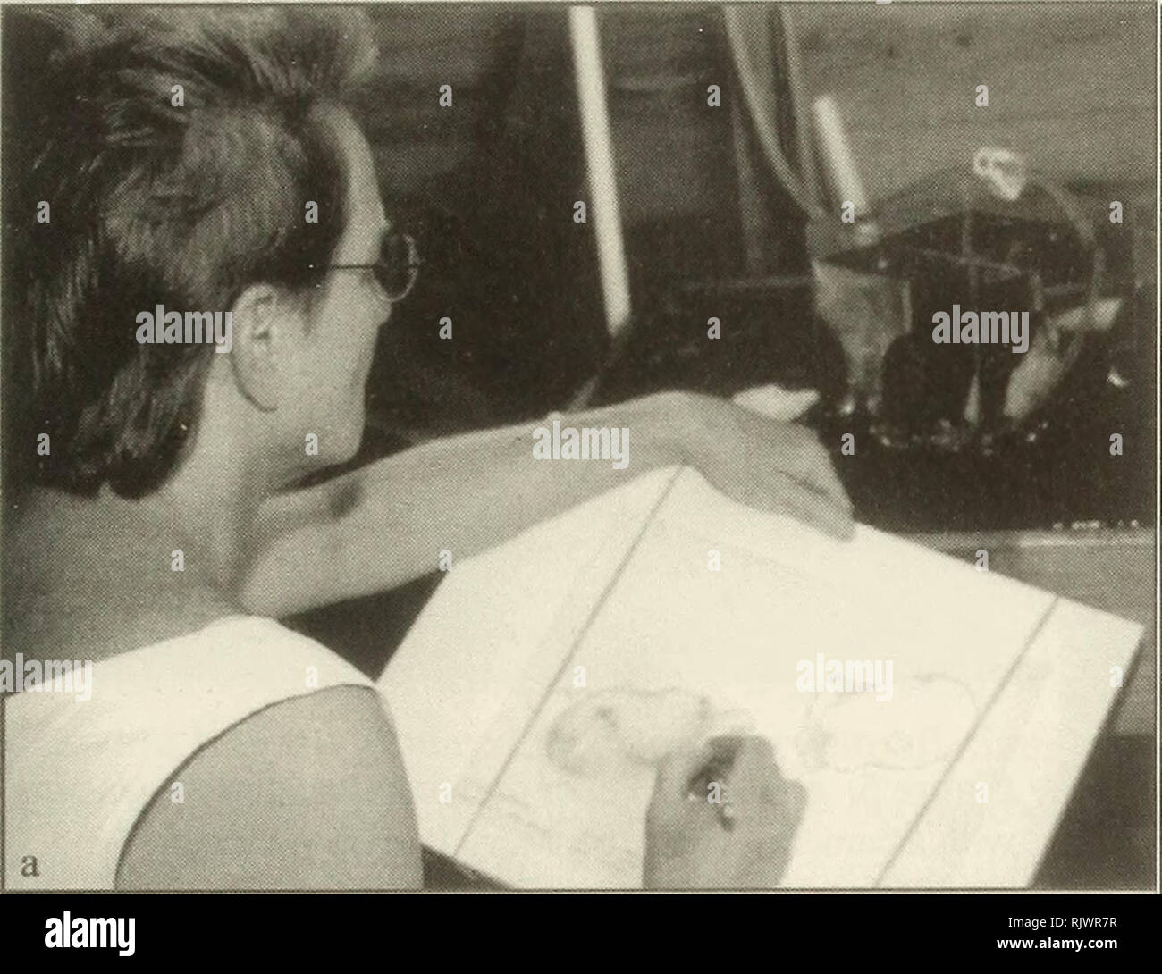 . Atoll research bulletin. Coral reefs and islands; Marine biology ...