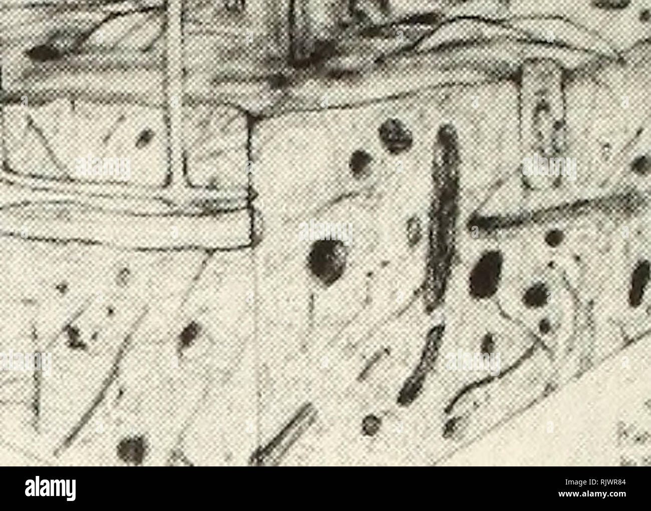 . Atoll research bulletin. Coral reefs and islands; Marine biology ...