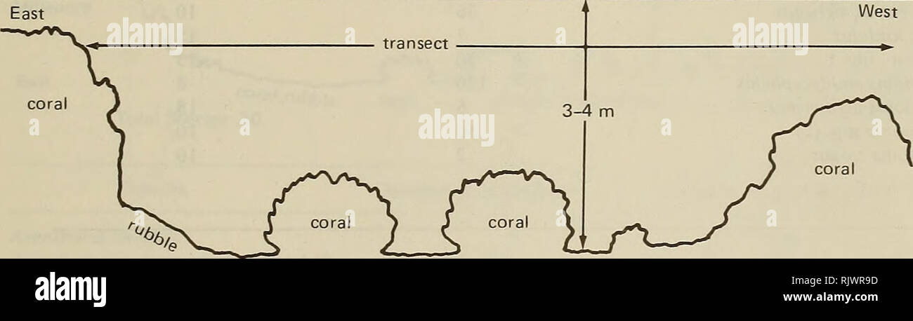 Transect line hi-res stock photography and images - Alamy
