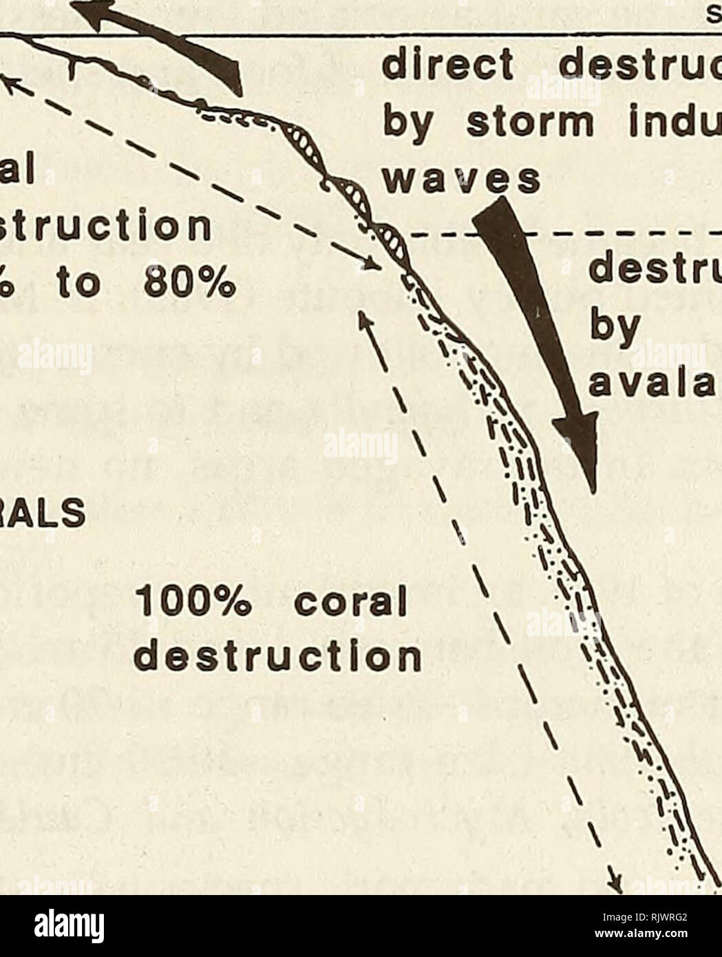 Reef morphology hi-res stock photography and images - Alamy