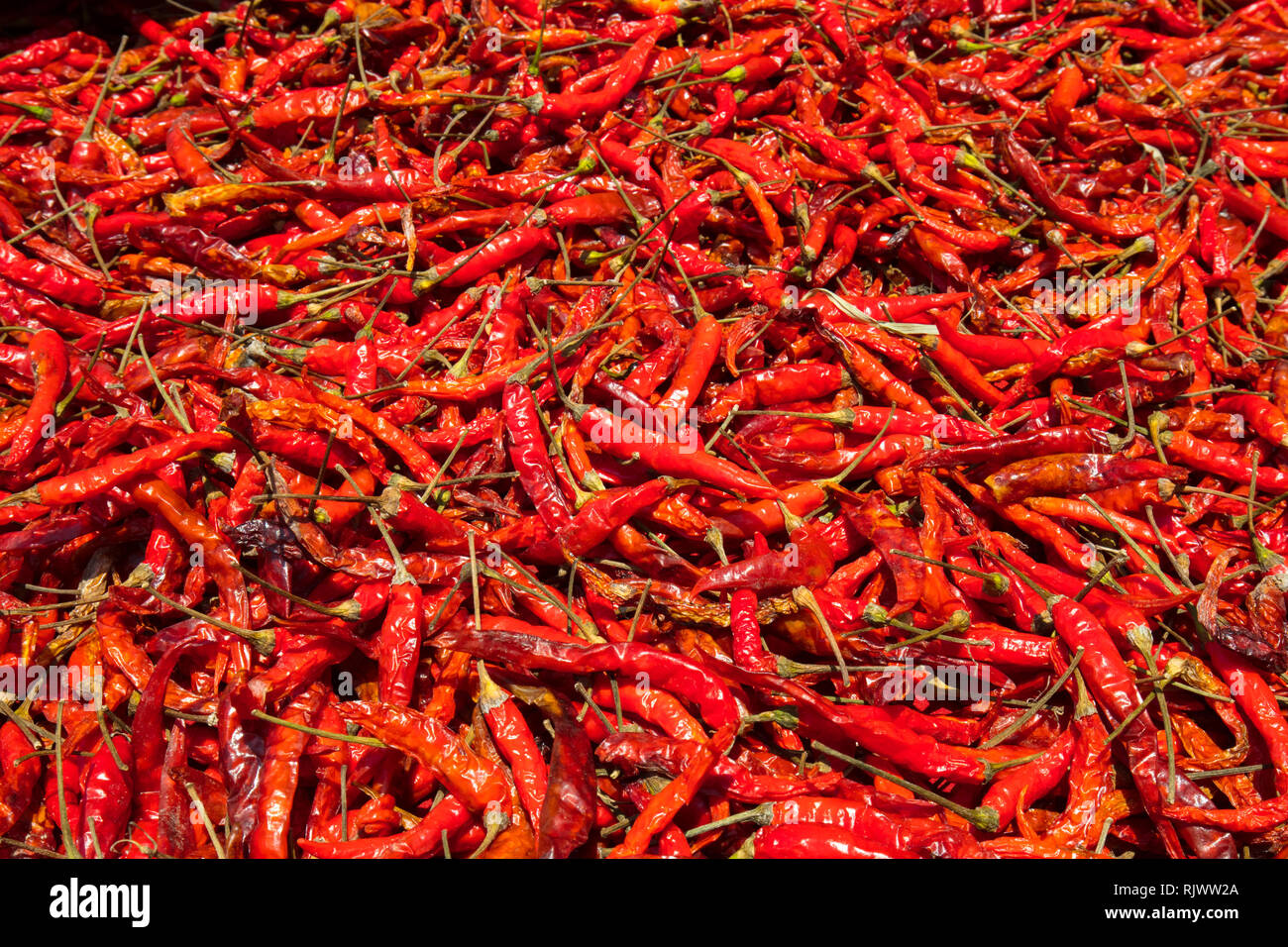 Chilis closeup hi-res stock photography and images - Alamy