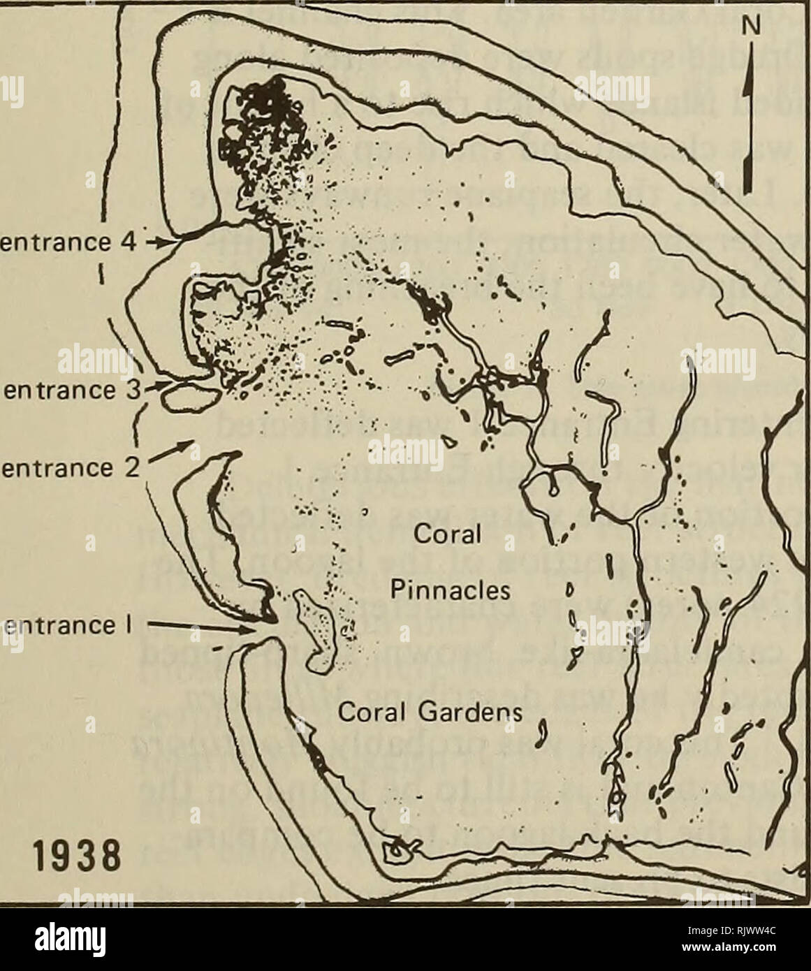 Hardy lagoon hi-res stock photography and images - Alamy