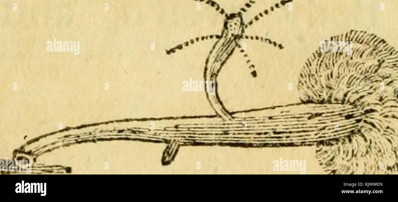 Body tention hi-res stock photography and images - Alamy