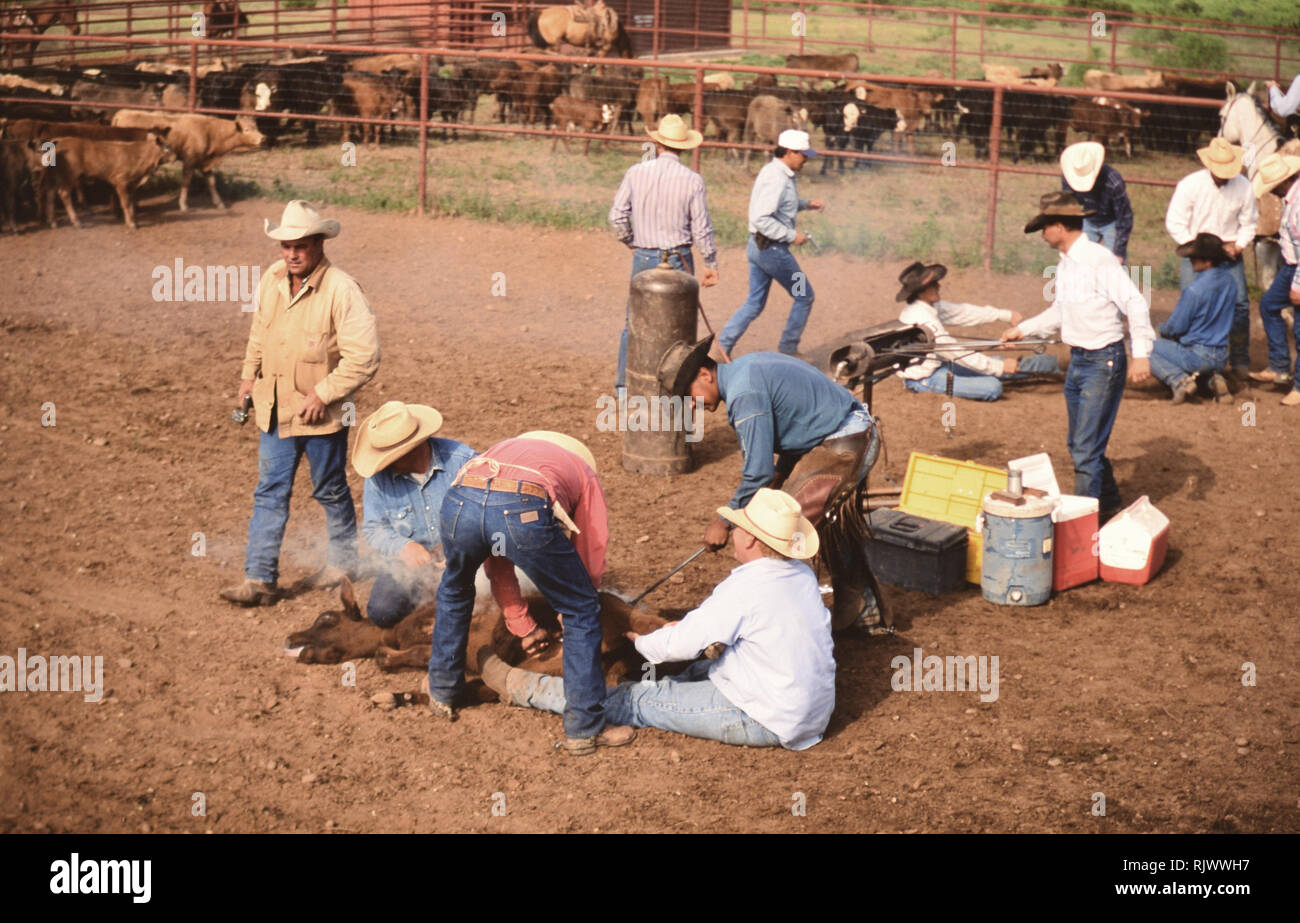 1990s texas cowboys hi-res stock photography and images - Alamy