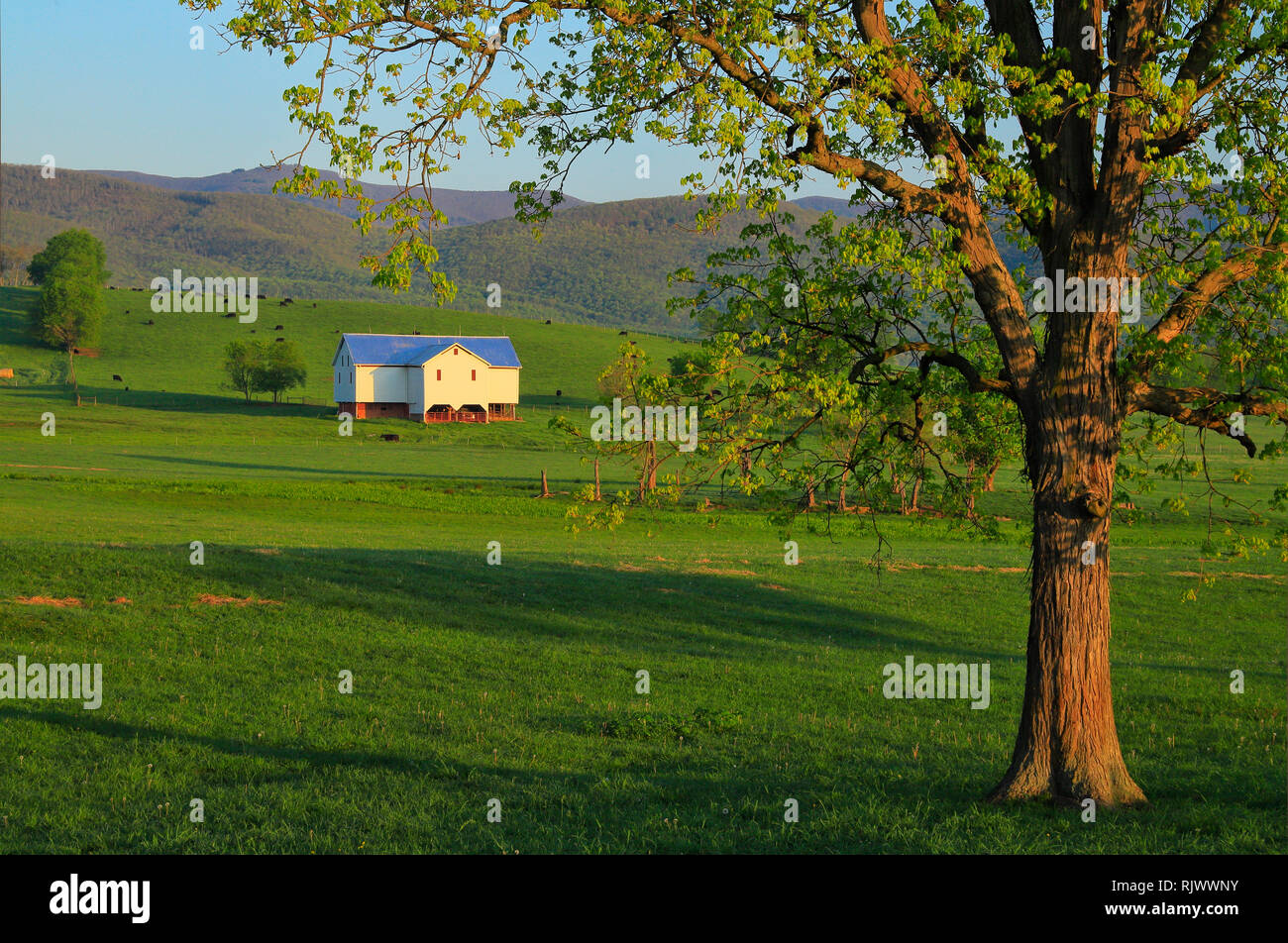 Farm, Swoope, Shenandoah Valley, Virginia, USA Stock Photo - Alamy