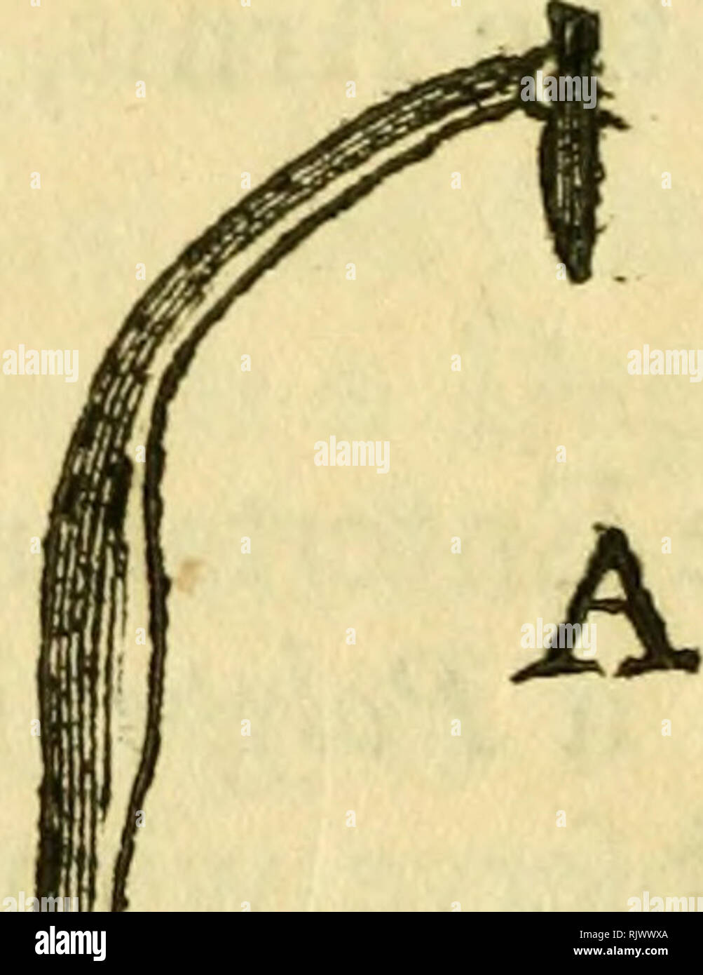 Tht letter hi-res stock photography and images - Alamy