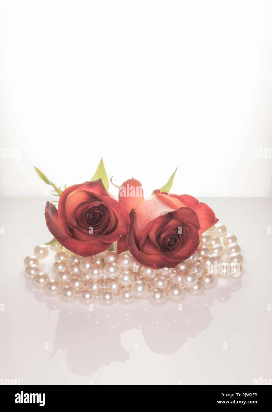 String of roses hi-res stock photography and images - Alamy