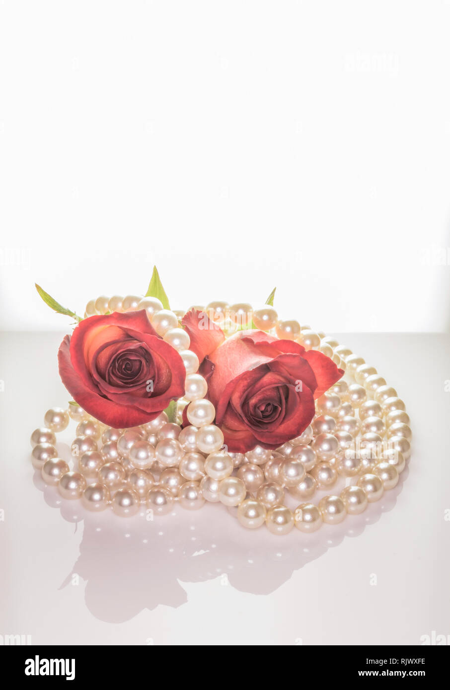 String of roses hi-res stock photography and images - Alamy