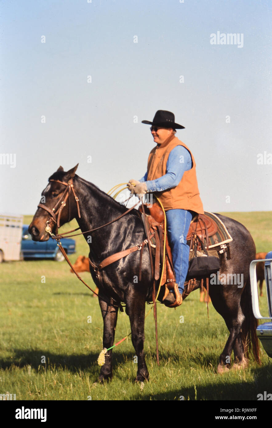 Cowboy horseback on ranch in northern Nebraska Stock Photo - Alamy